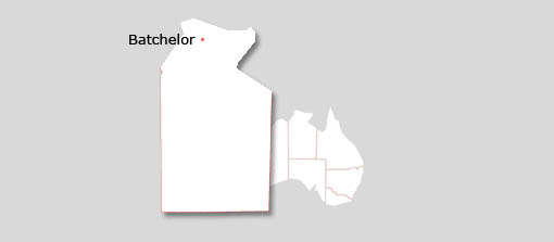 WATERCOLOR WINDMILL | Splashing Paint